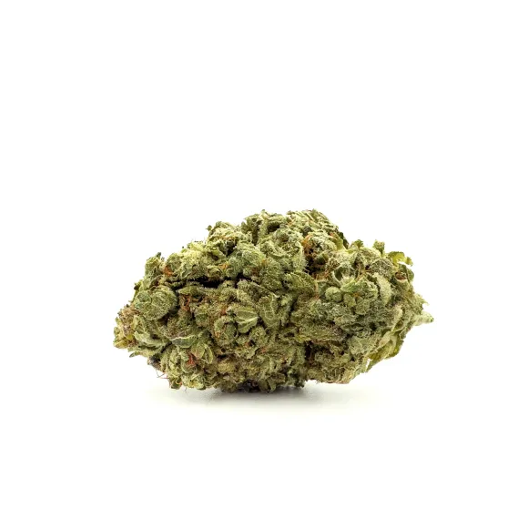 Fleur CBD Jack Herer - Qualité Premium - CBDSTREET